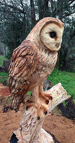 Champion chainsaw carver Rob Bast returns to the 2019 festival - Eden ...